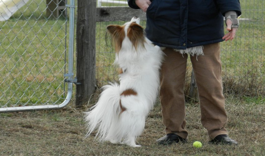 Mars Agway | Your Local, Family-Owned Yard, Garden, Pet & Farm Supply ...
