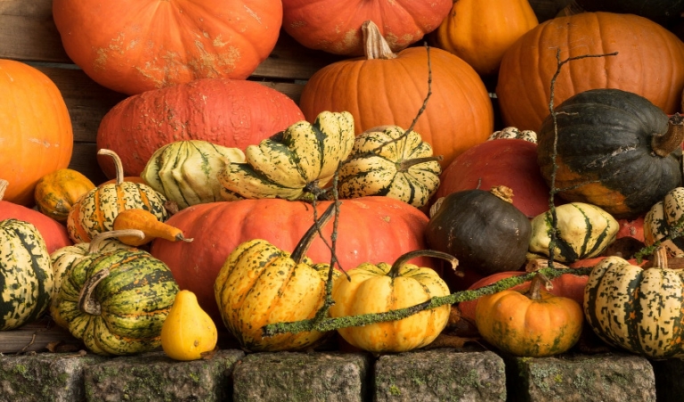 Mars Agway | Your Local, Family-Owned Yard, Garden, Pet & Farm Supply ...