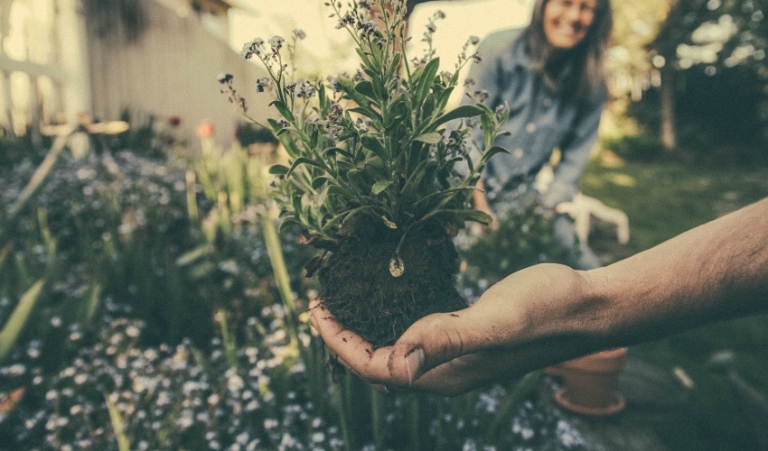 Walnut Ridge Nursery & Garden Center, Walnut Ridge Indiana ...