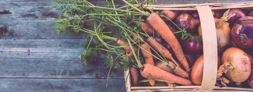 Fletcher's Feed & Farm Supply | Feed And Supply Store For Both Your ...