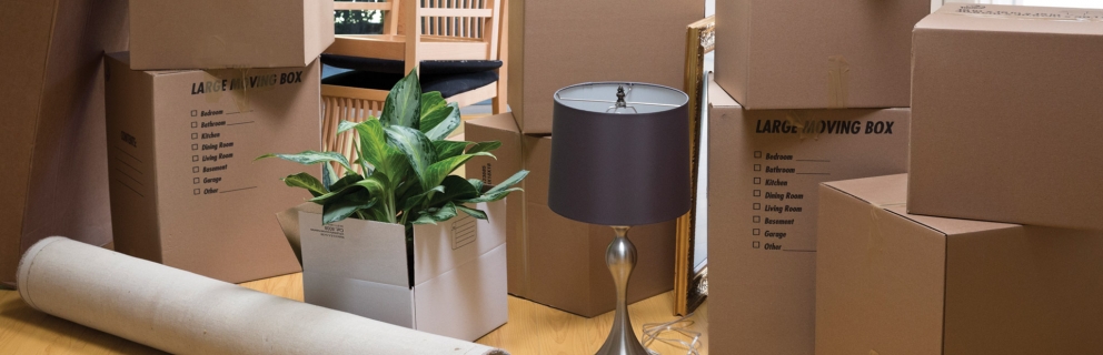 Rental Destination For Home, Equipment, Party, Wedding, DIY Supplies ...