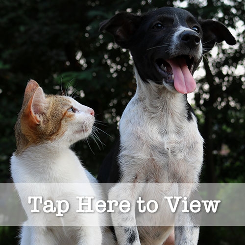 Talmage Farm Agway, Riverhead store, home brewing equipment LI ...