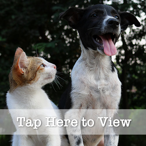 Talmage Farm Agway, Riverhead store, home brewing equipment LI ...