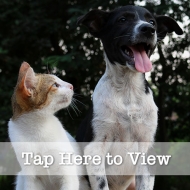 Talmage Farm Agway, Riverhead store, home brewing equipment LI ...