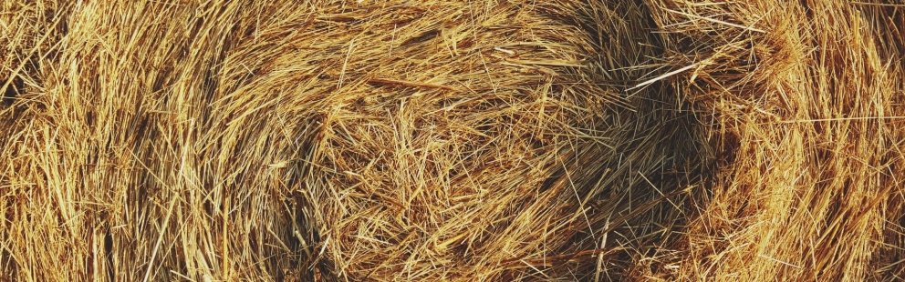 Home | Serving Bell Country and Central Texas for Over 30 Years ...