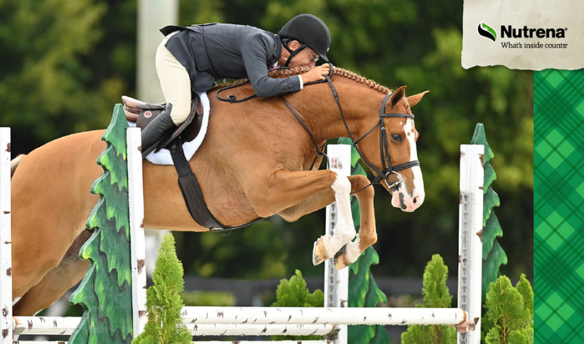 Home Bowen's Farm Supply, Inc. | Annapolis, MD