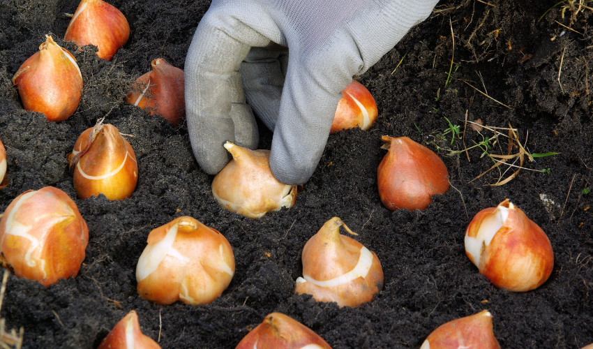Growing, Harvesting and Baling Your Own Hay | Talmage Farm Agway