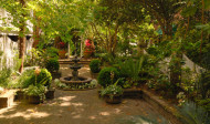 Creating a Tranquil Oasis: A Guide to Planning Your Shade Garden with ...