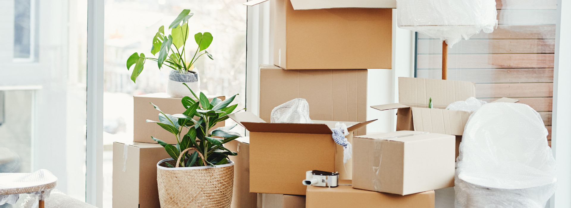 Equipment Rental, Tool Rental, Party Rental, Wedding Rental, DIY ...