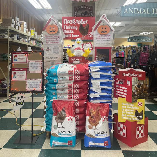 SHOW•RITE® Fat n Fluffy Show Supplement | Country Corner Feed & Tack ...