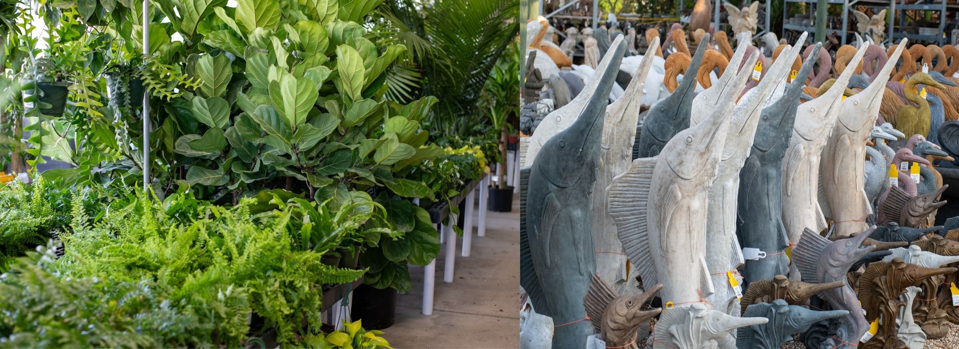 MRT Venice FL, MRT Landscaping FL, Garden Center Venice fl | MRT Lawn ...