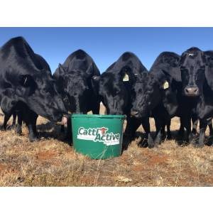 Livestock | Spring Creek Feed Center | Magnolia, TX